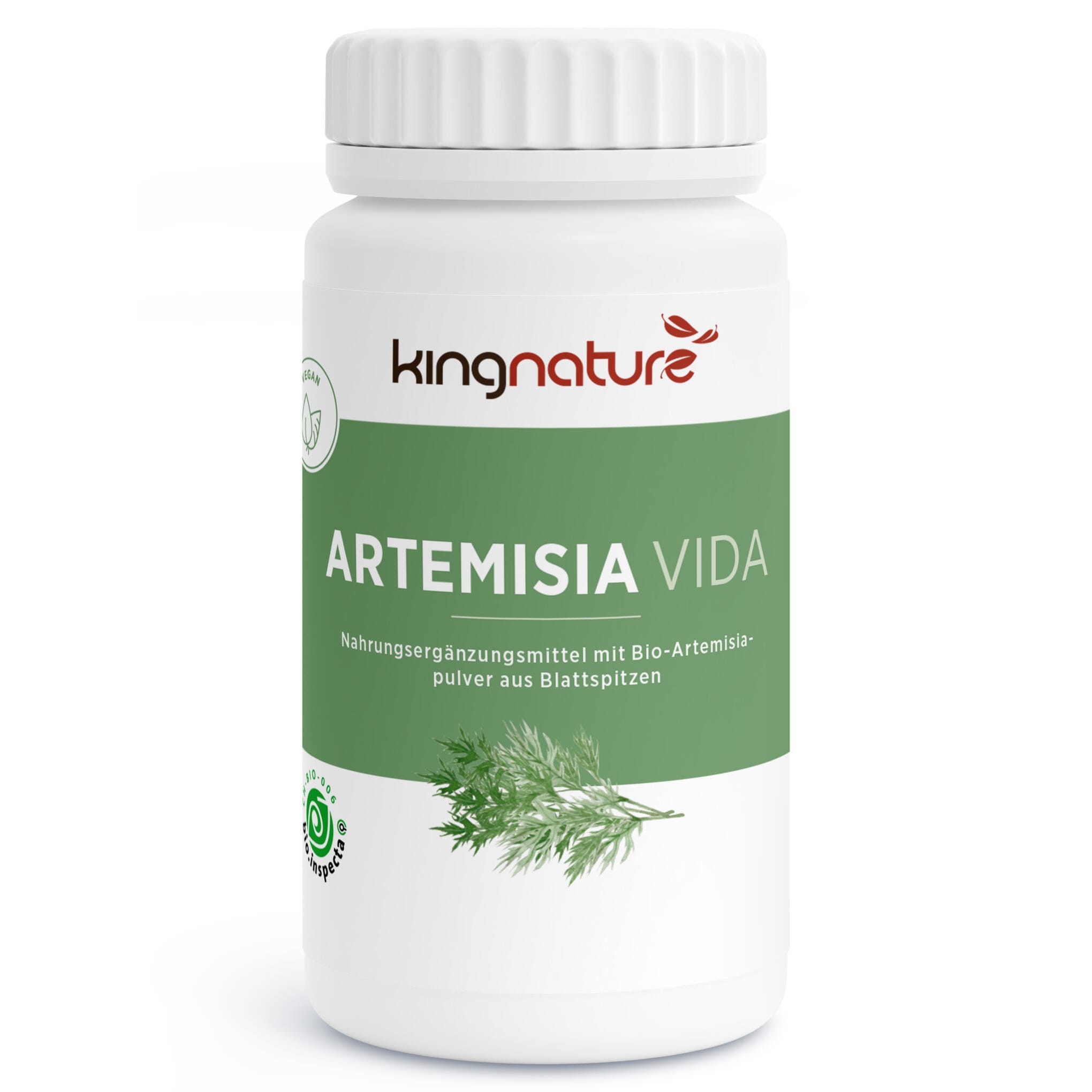 Artemisia: die ideale Heilpflanze | kingnature