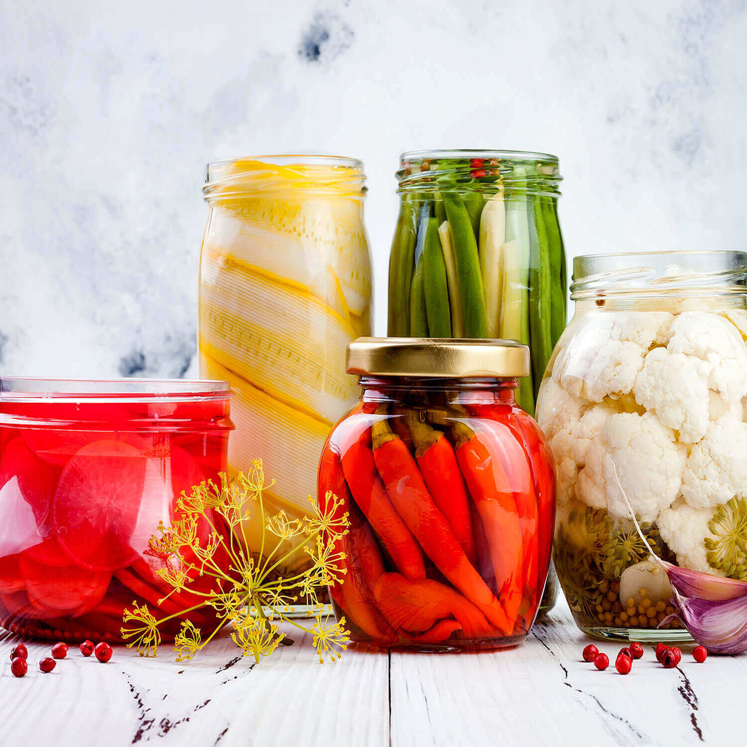 EM Multi ferment kaufen mit Probiotika und Fermenten bei kingnature